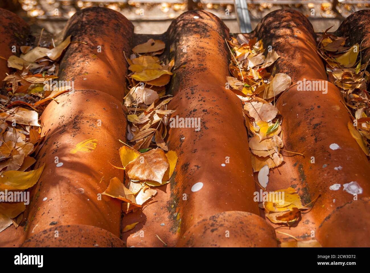 Natural clay tiles hi-res stock photography and images - Alamy