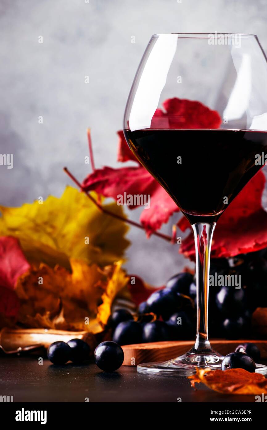 Dry red wine in large glass, autumn still life with red and yellow ...