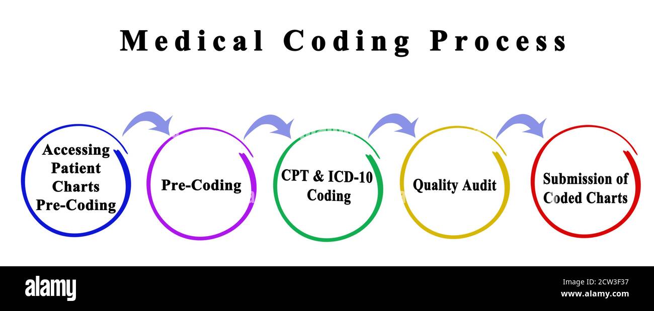 Components of Medical Coding Process Stock Photo - Alamy