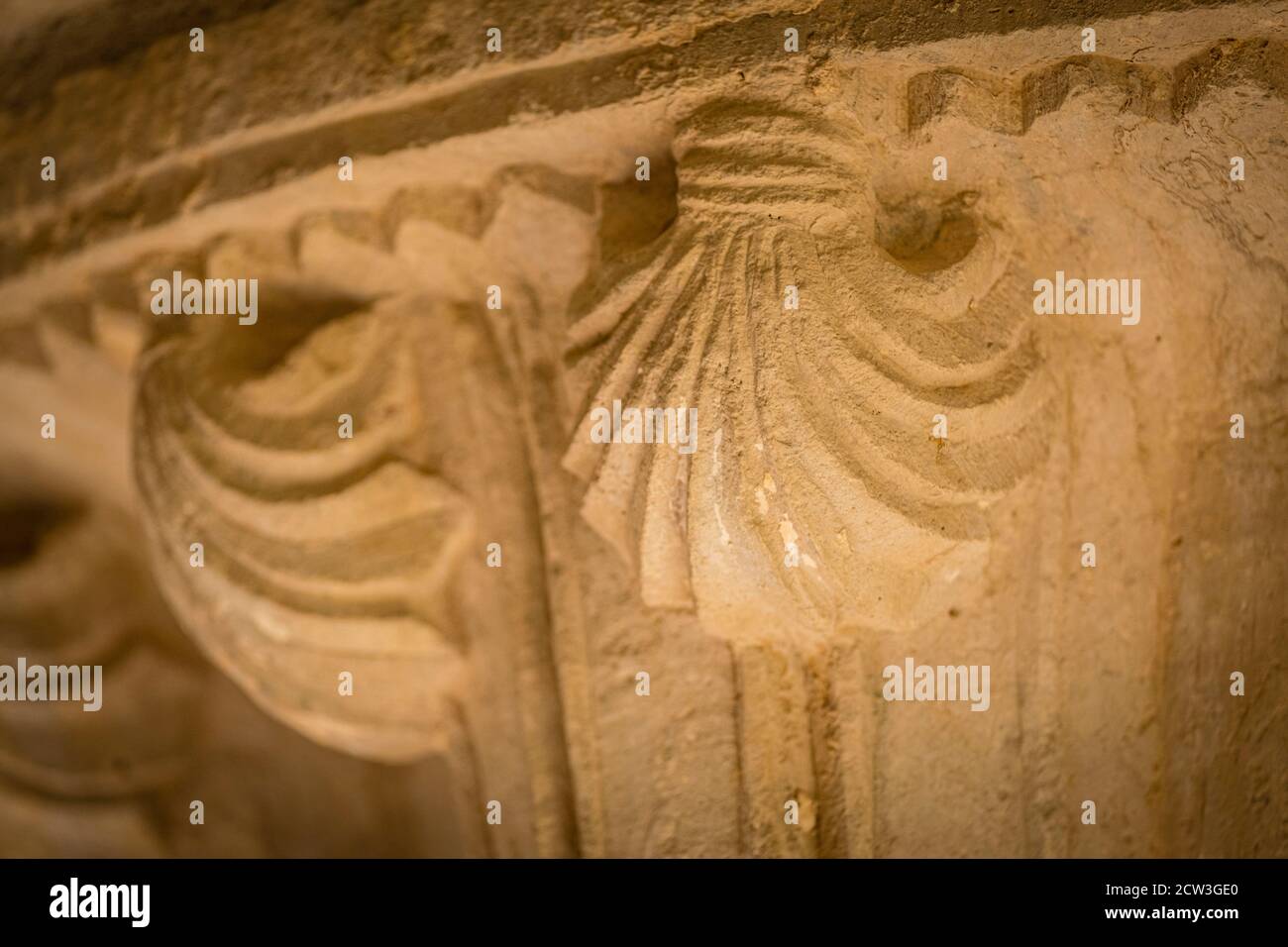 Herencia de concha hi-res stock photography and images - Alamy