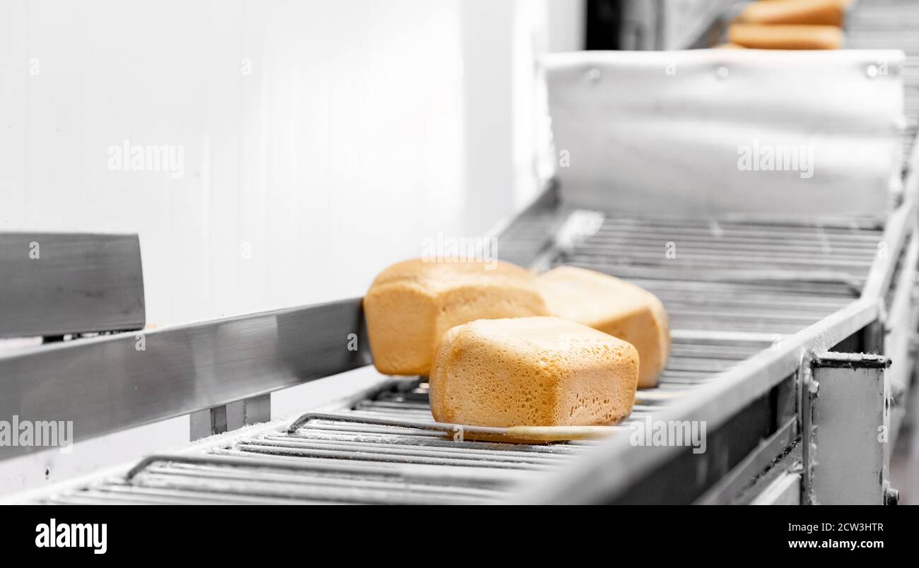 Automated production line bakery Fresh hot baked breads Stock Photo - Alamy