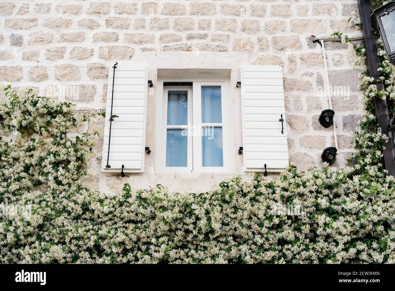 Clematis house hi-res stock photography and images - Alamy
