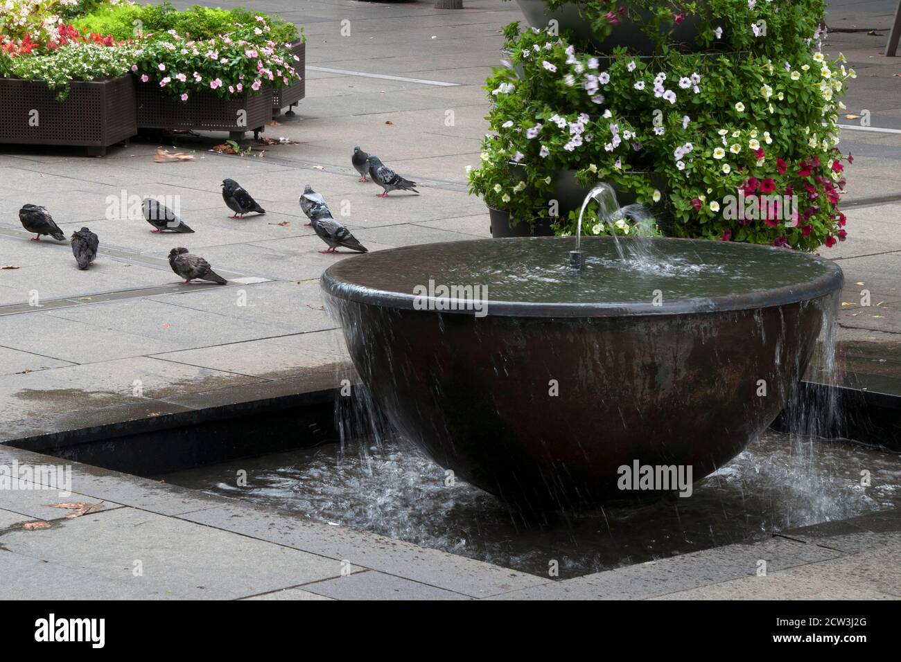 Sydney Australia, public art piece called Passage by Anne Graham ...