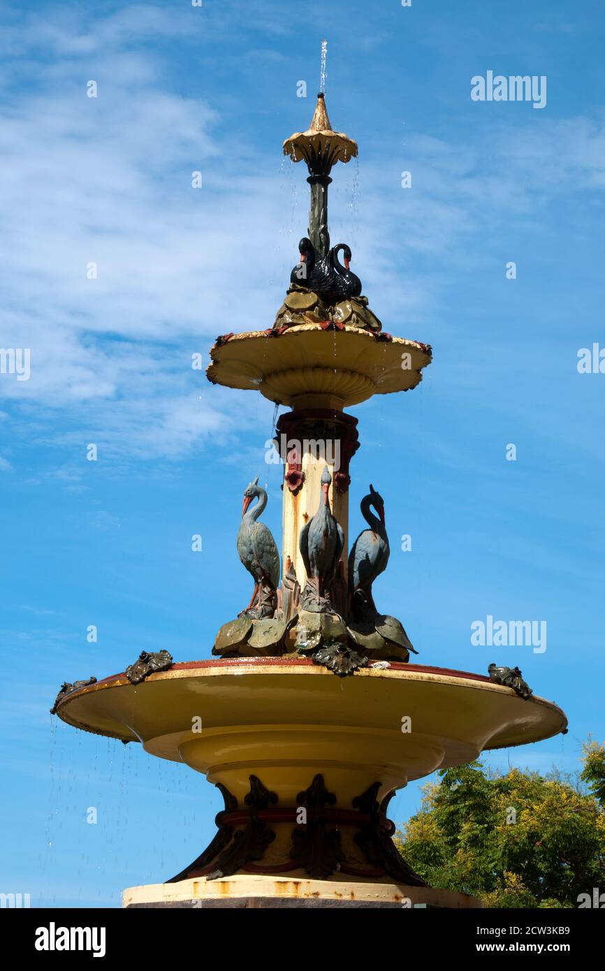 Sydney Australia, top tiers featuring brolgas and black swans of the ...