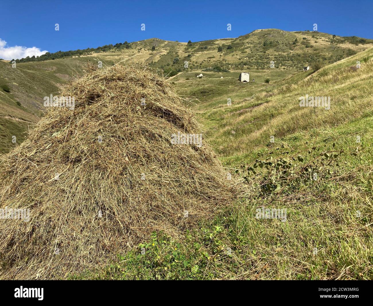 Pile of hay hi-res stock photography and images - Alamy