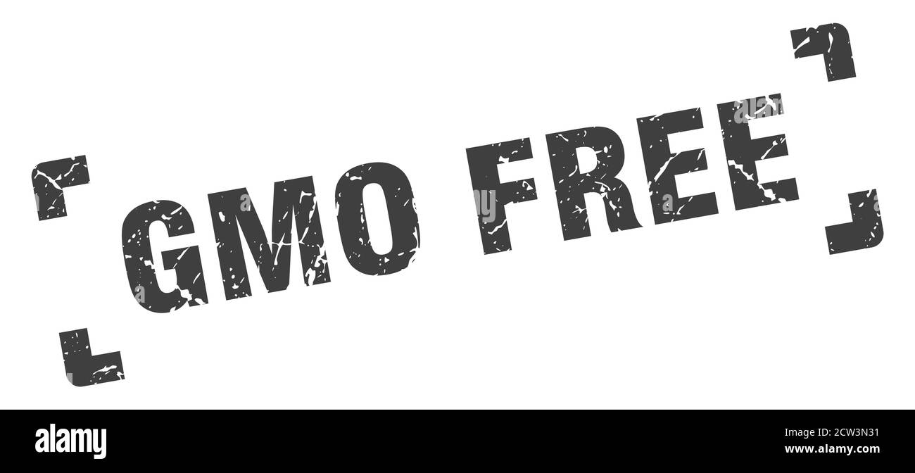 gmo free stamp. square grunge sign on white background Stock Vector Image & Art - Alamy