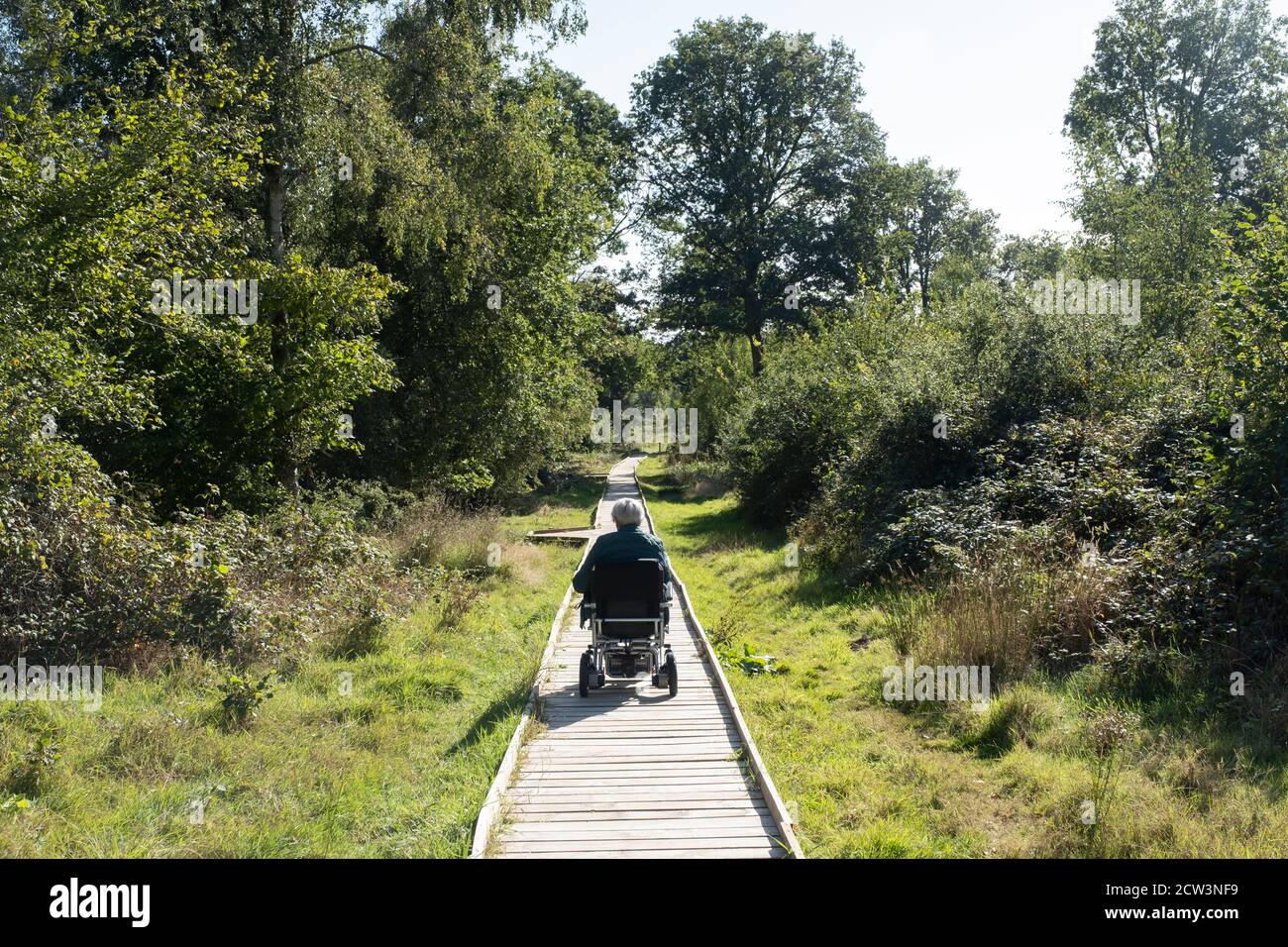 Accessible pathway hi-res stock photography and images - Alamy