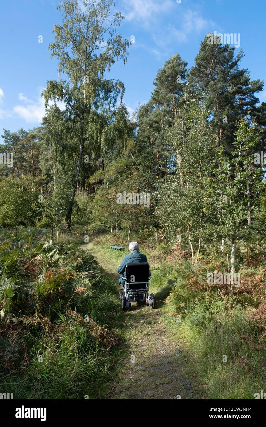 Accessibke pathway hi-res stock photography and images - Alamy