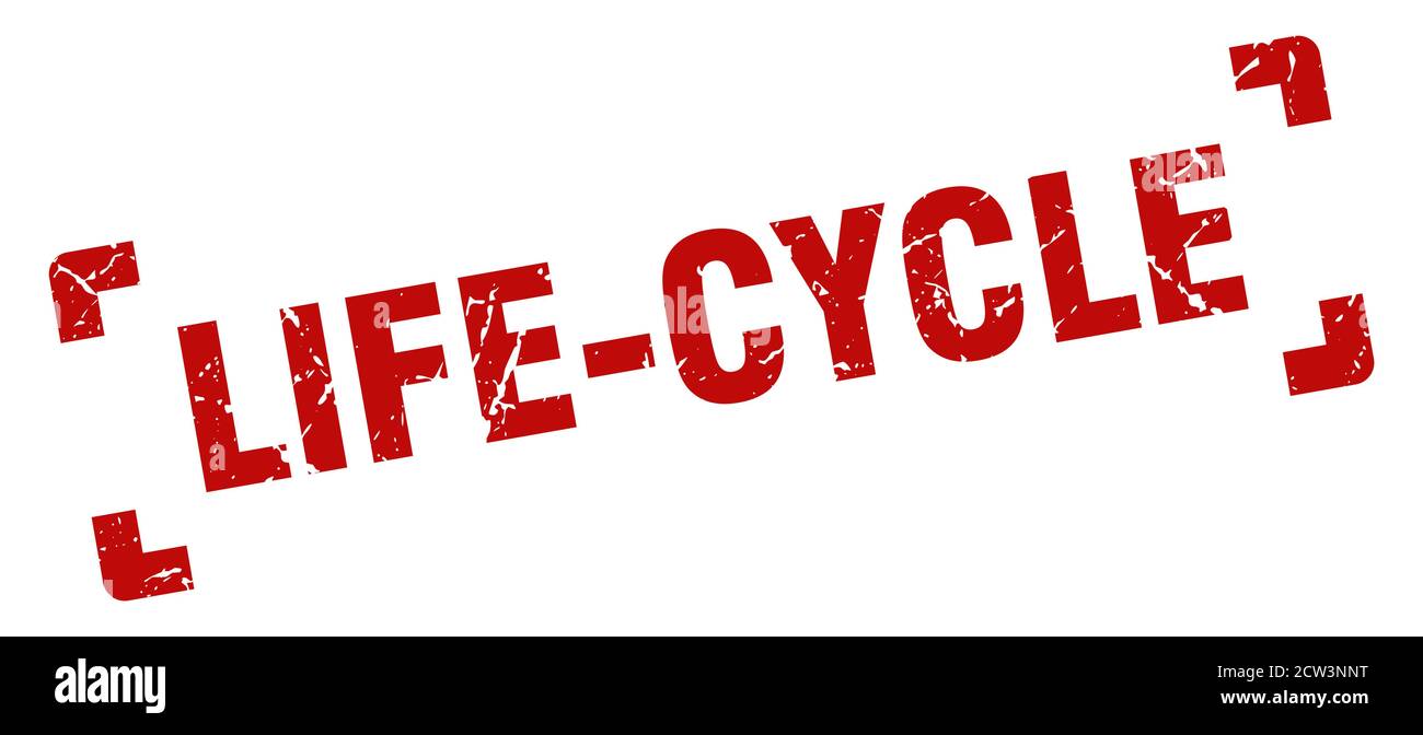 life-cycle stamp. square grunge sign on white background Stock Vector ...