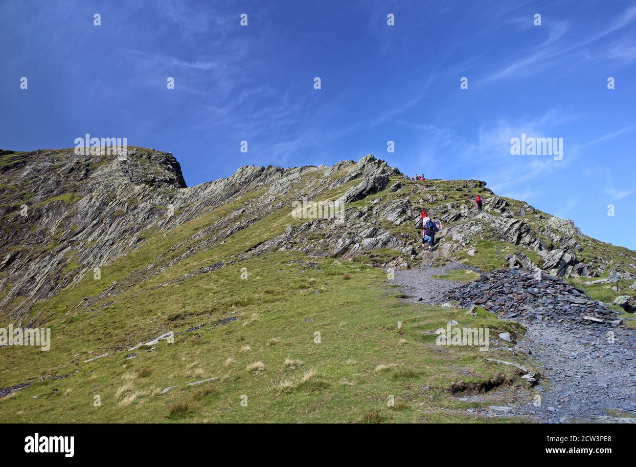 Walkers on the ridge Sharp edge on Blencathra Stock Photo - Alamy