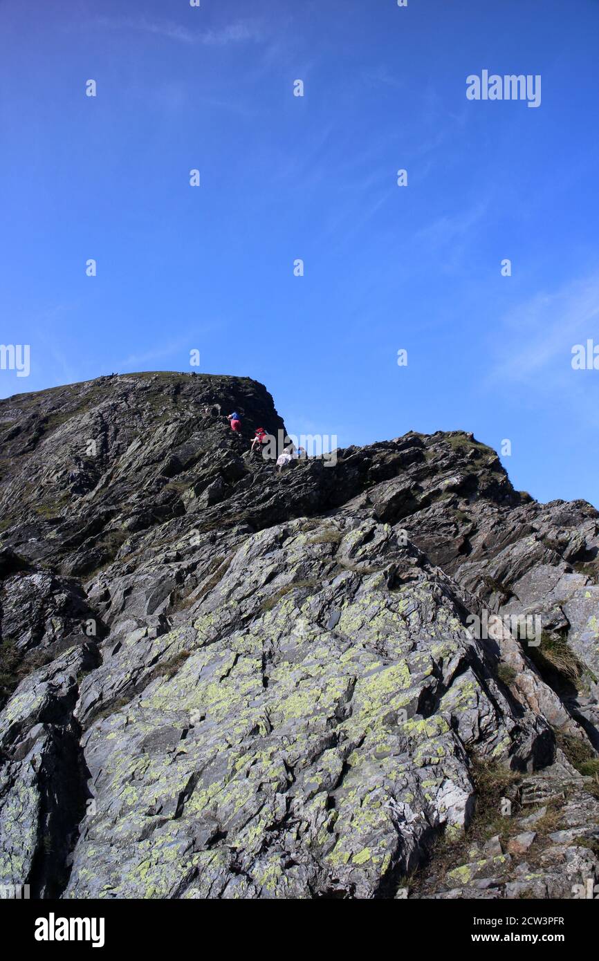 Walkers on the ridge Sharp edge on Blencathra Stock Photo - Alamy