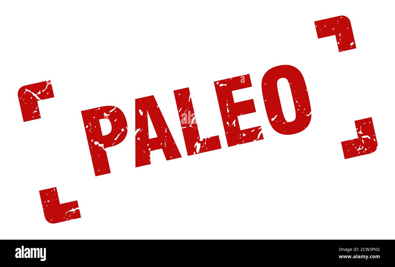 paleo stamp. square grunge sign on white background Stock Vector Image ...