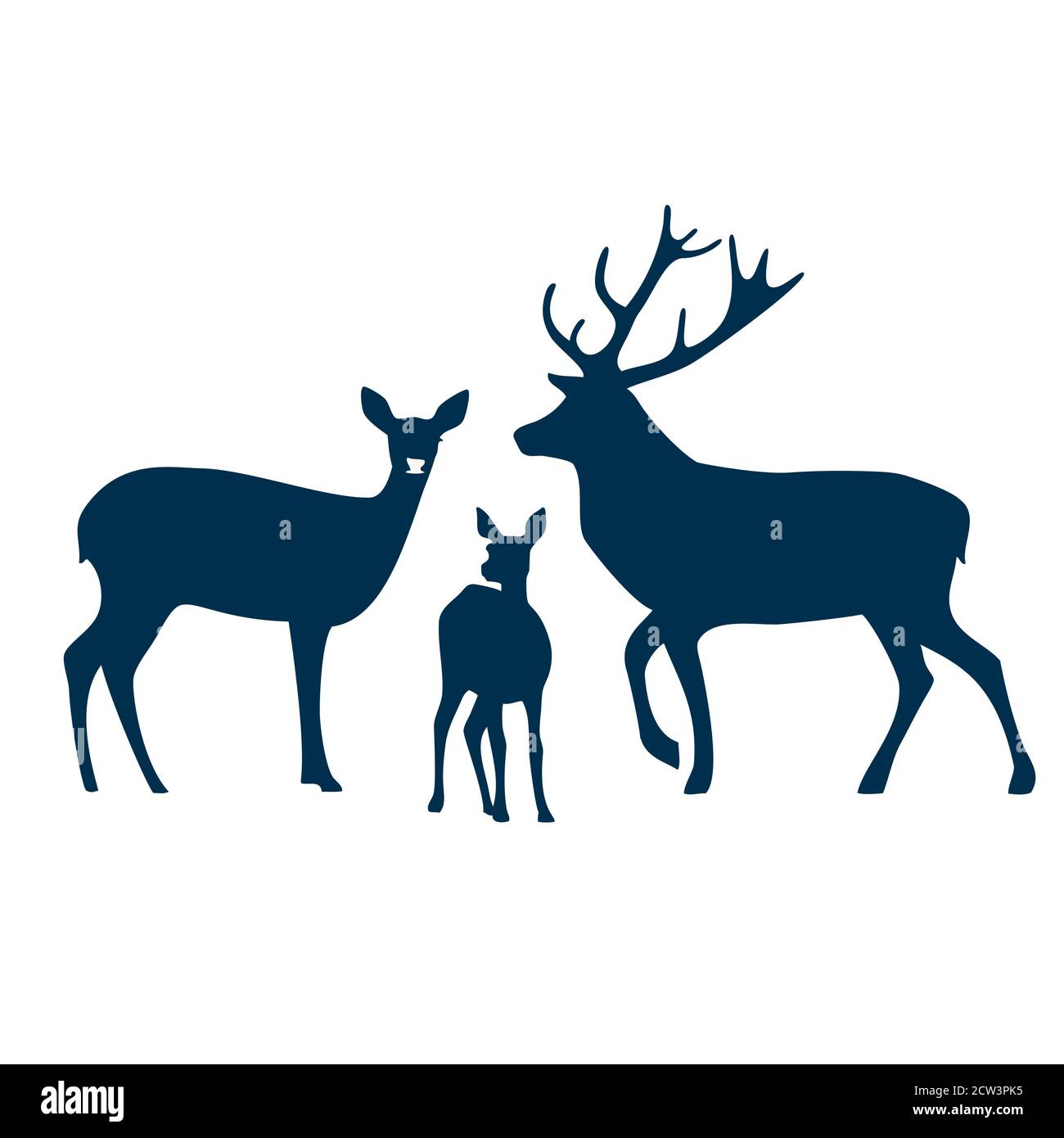 Deer vector illustration Stock Vector Image & Art - Alamy