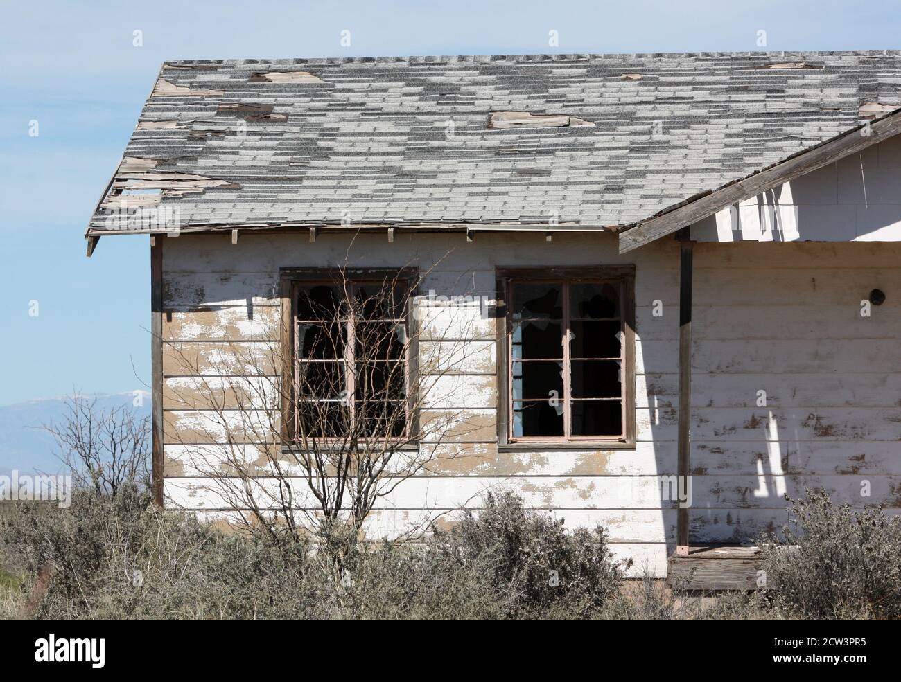 Spooky old abandoned white-washed house with sun-bleached animal bones ...