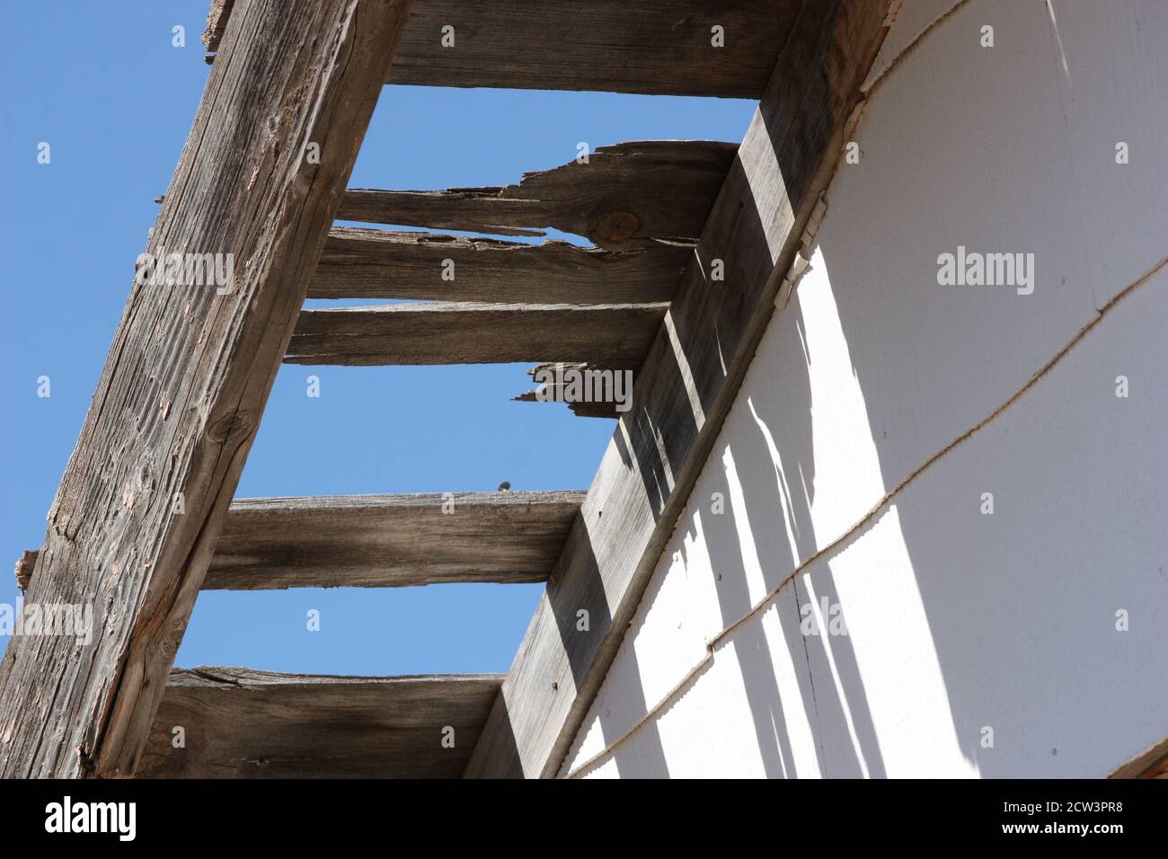 Spooky old abandoned white-washed house with sun-bleached animal bones ...