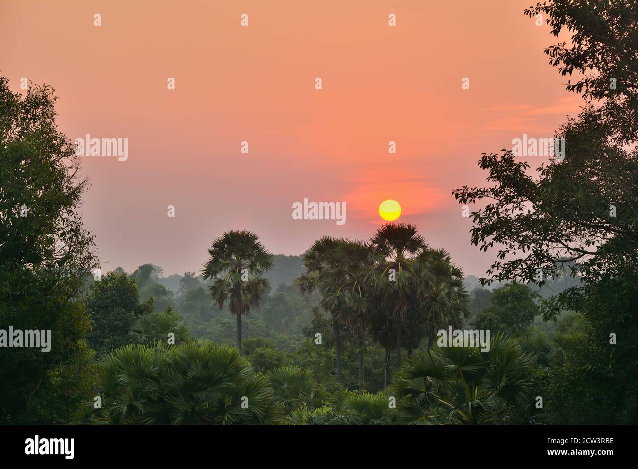 Sunset over cambodian rainforest from Pre Rup temple in the Angkor Wat ...