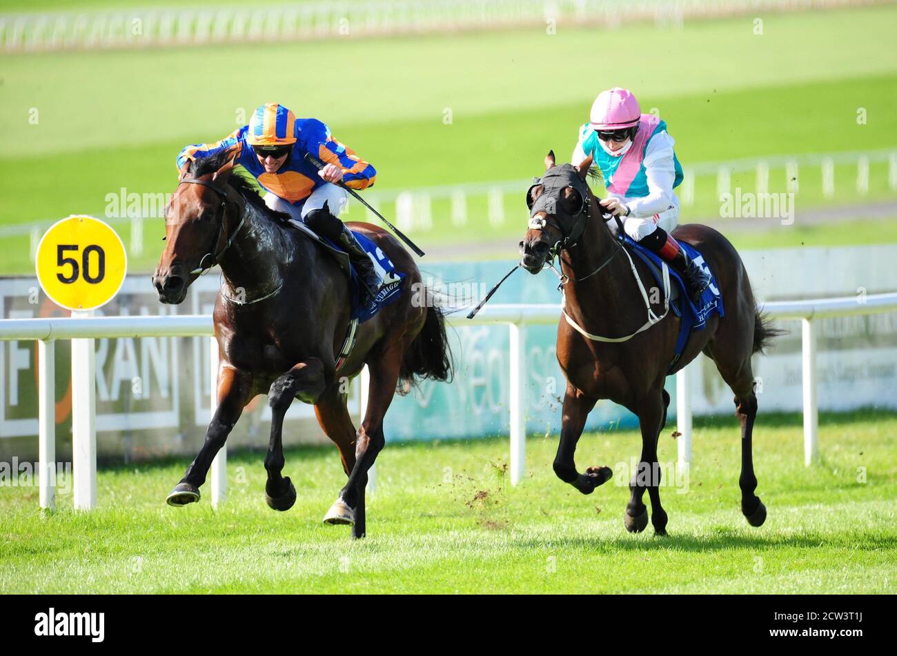 Van gogh ridden hi-res stock photography and images - Alamy