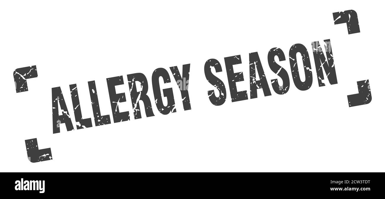 allergy season stamp. square grunge sign on white background Stock ...