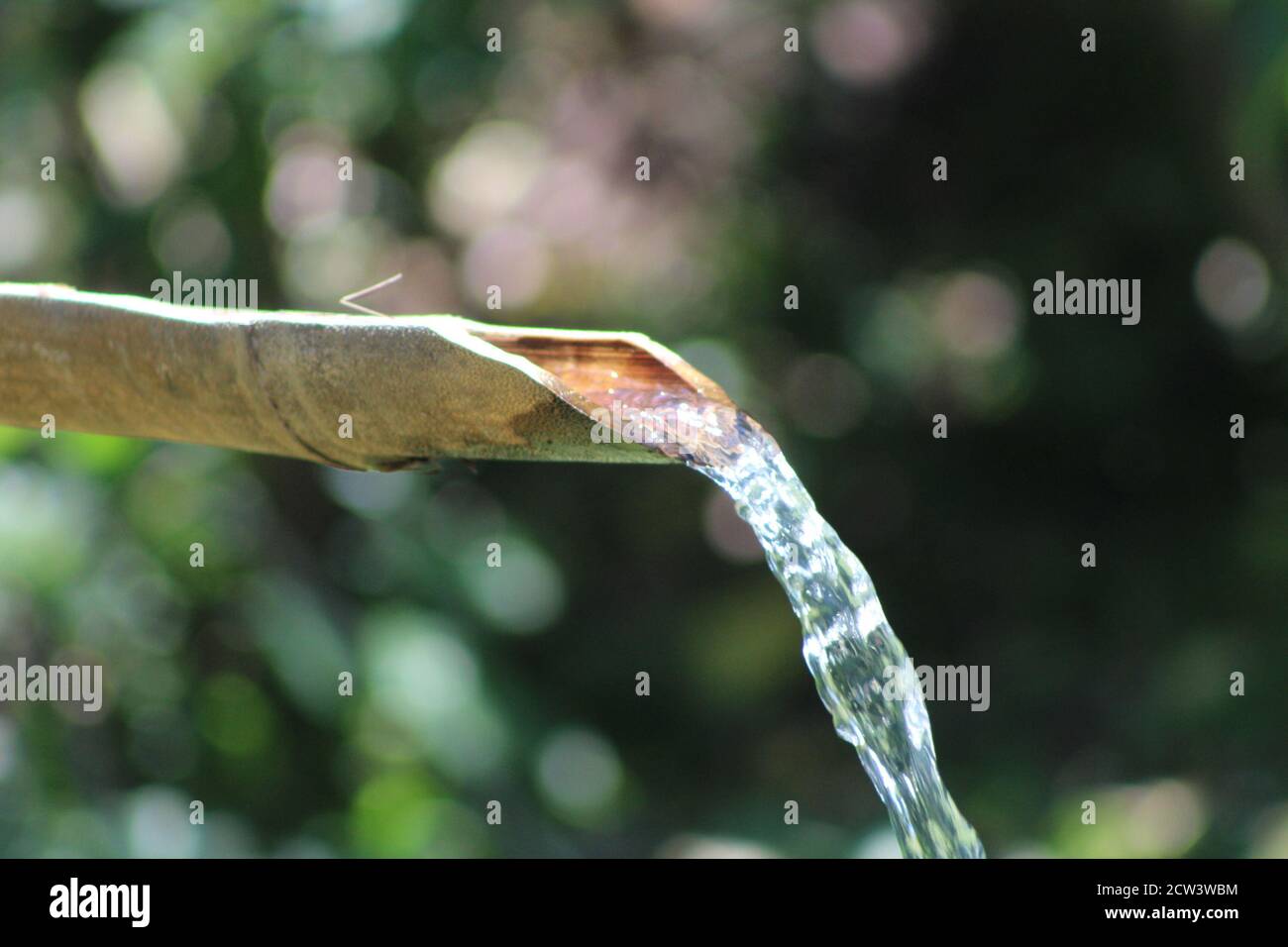 Dripping bamboo hi-res stock photography and images - Alamy