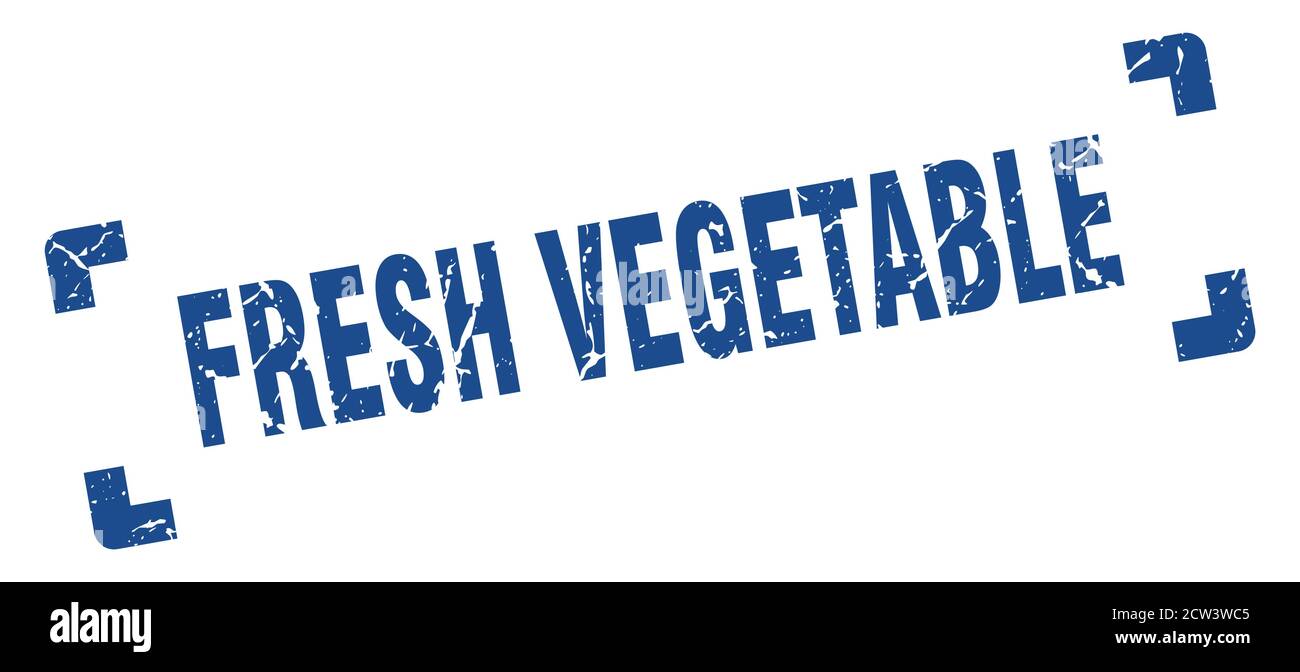 fresh vegetable stamp. square grunge sign on white background Stock ...