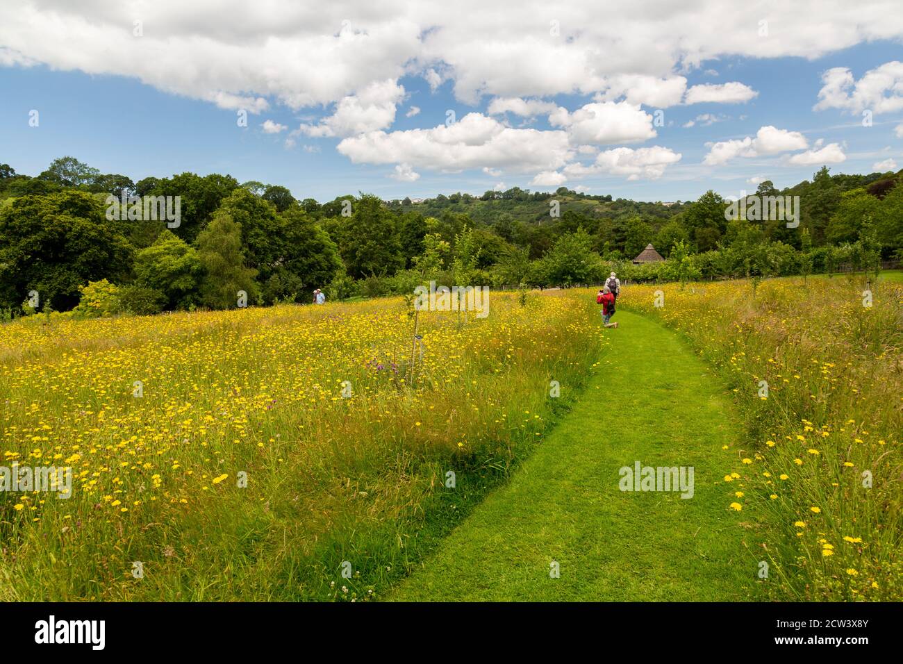 English meadow path hi-res stock photography and images - Alamy