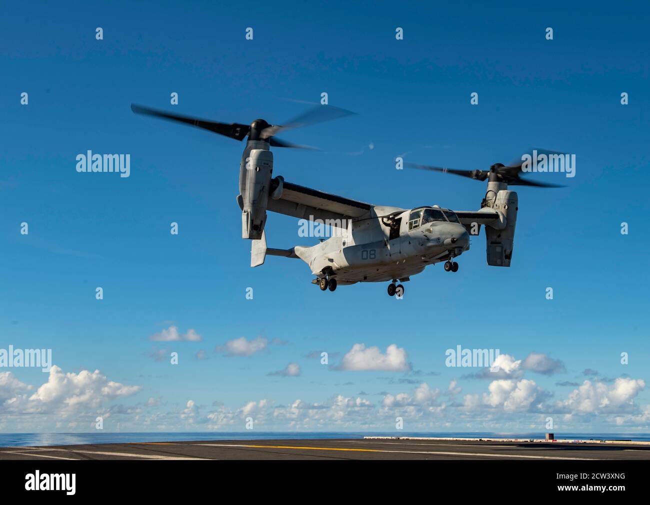 Erica america where hi-res stock photography and images - Alamy