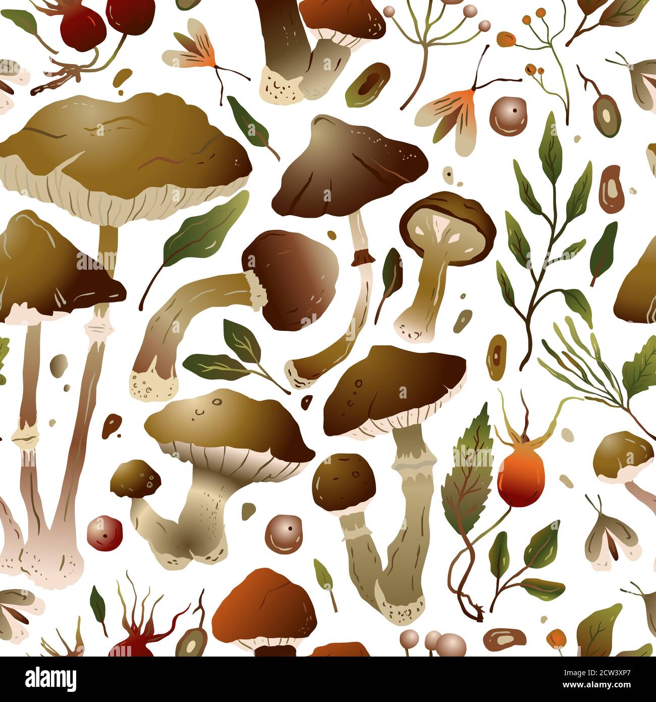 Moth food plant Stock Vector Images - Alamy