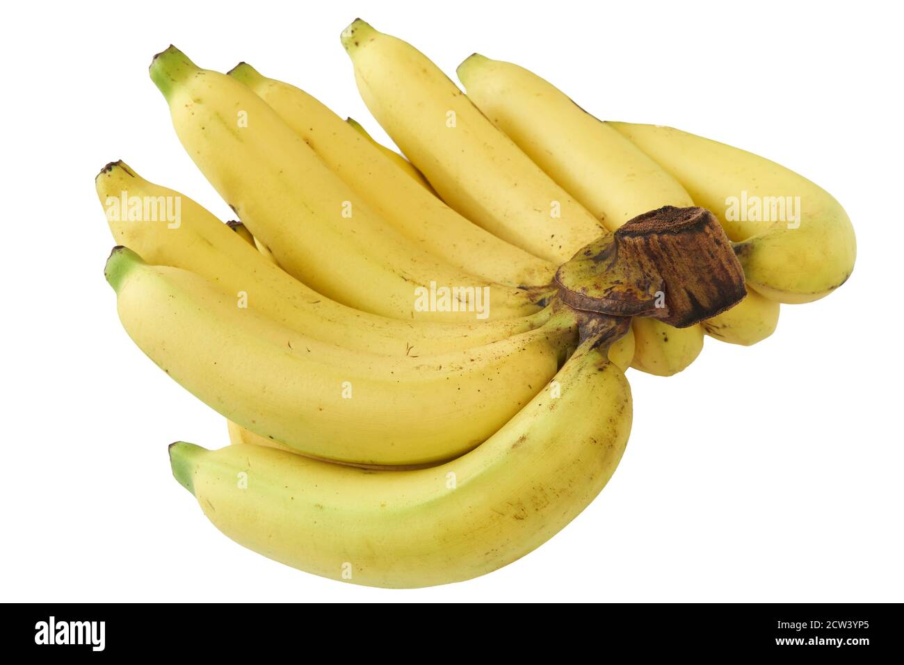 A comb of delicious lavendish bananas isolated on white background ...