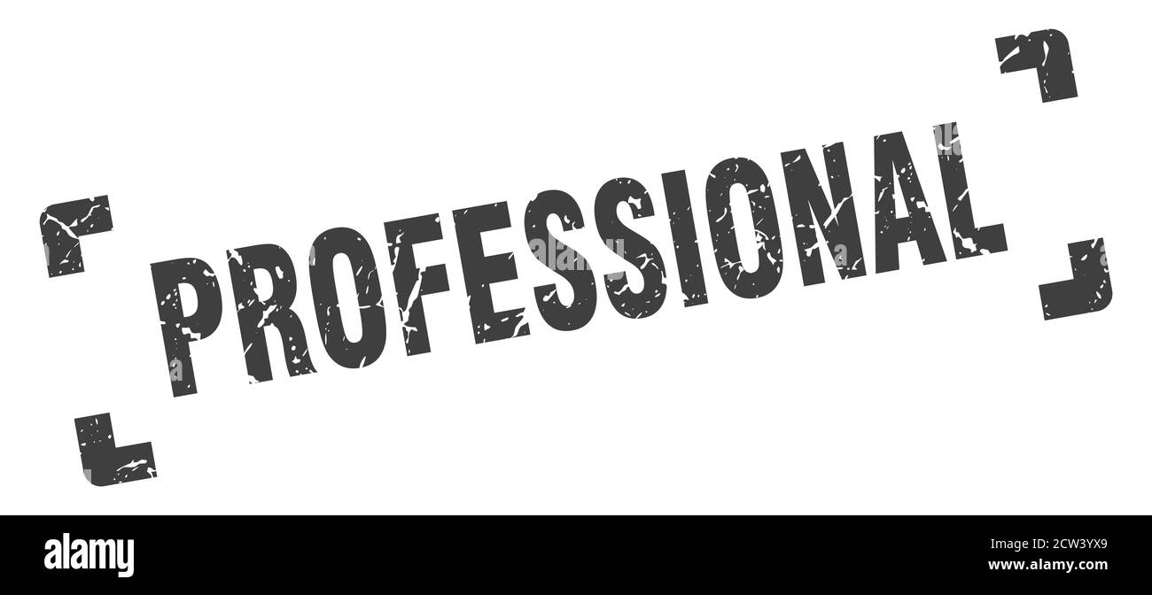 professional stamp. square grunge sign on white background Stock Vector ...