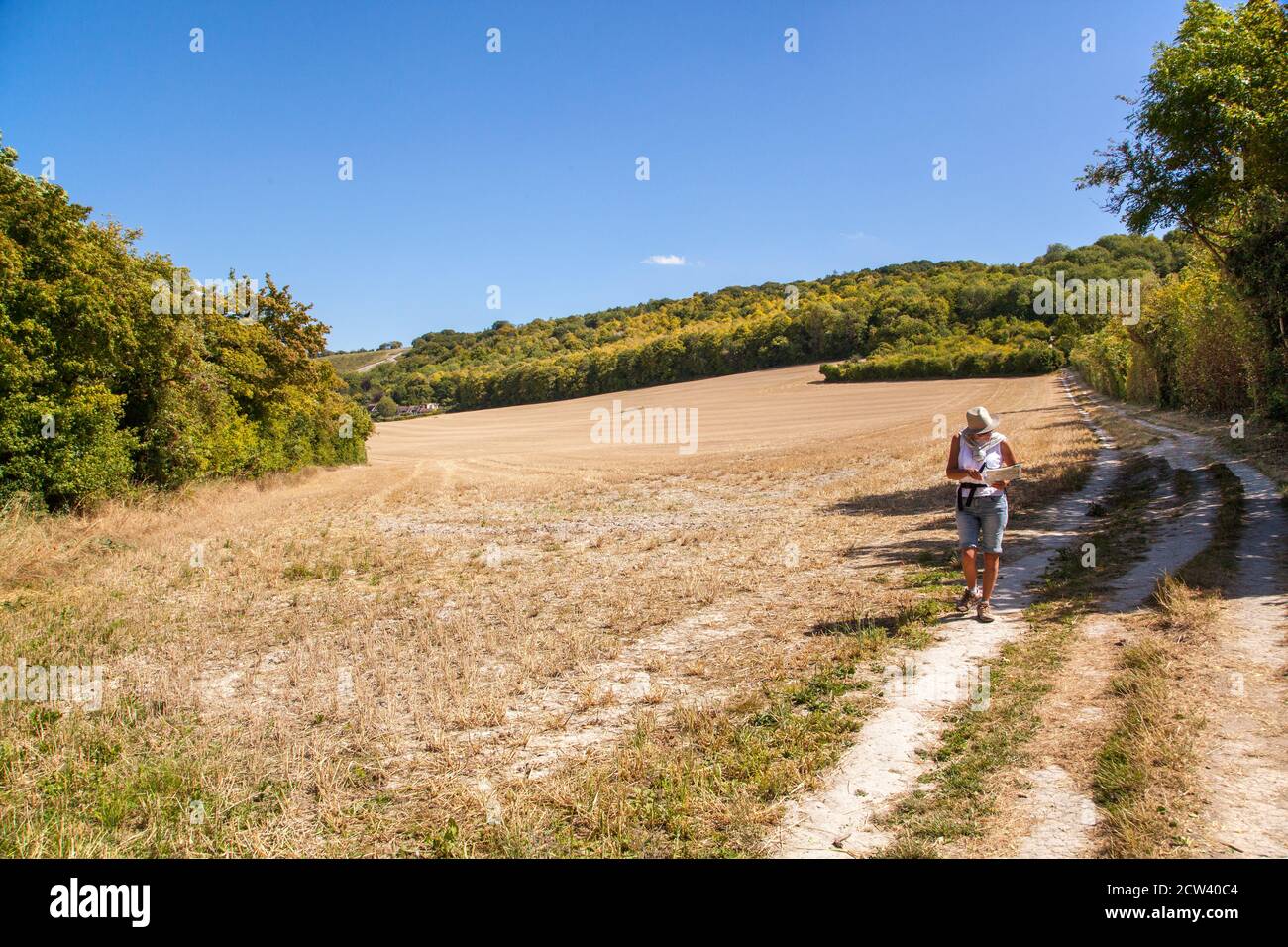 Woman walking on the Ridgeway long distance footpath trail in the ...