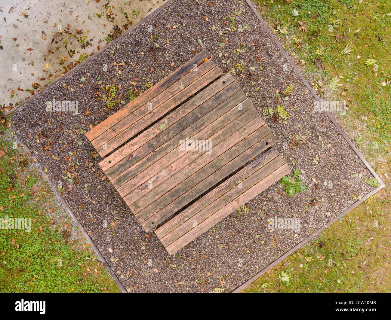 Table of birds hi-res stock photography and images - Alamy