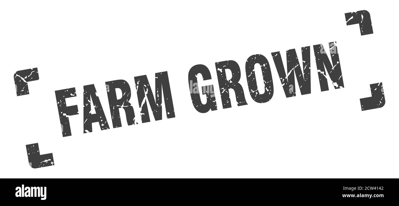 farm grown stamp. square grunge sign on white background Stock Vector Image & Art - Alamy