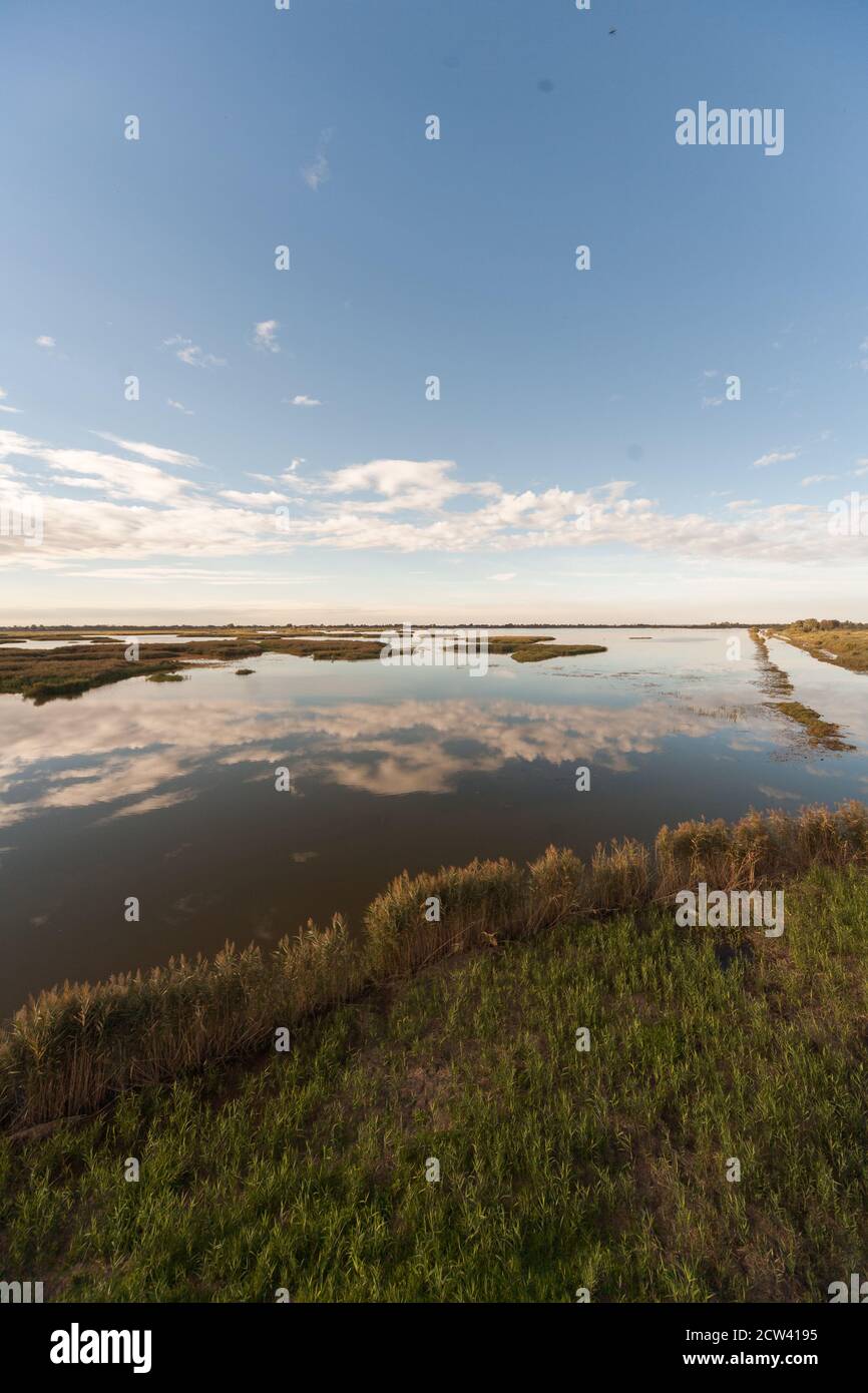 Swampland river hi-res stock photography and images - Alamy