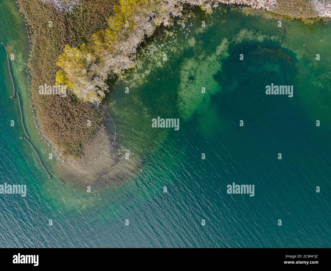 Drone shot over water. Background of lake. Birds view Stock Photo - Alamy