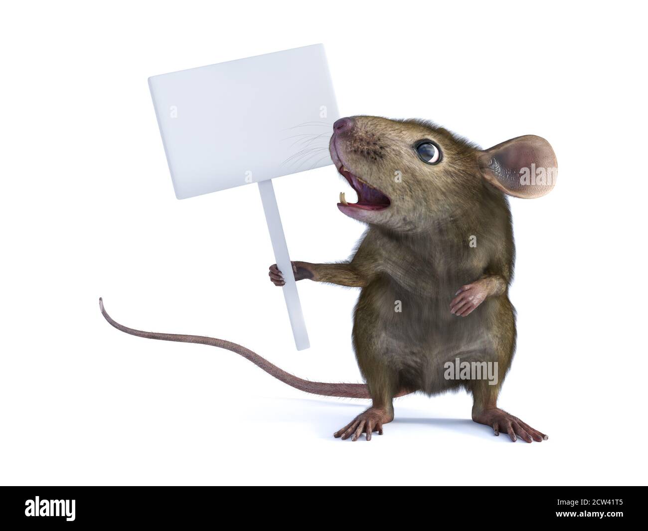 Mouse Standing On Hind Legs