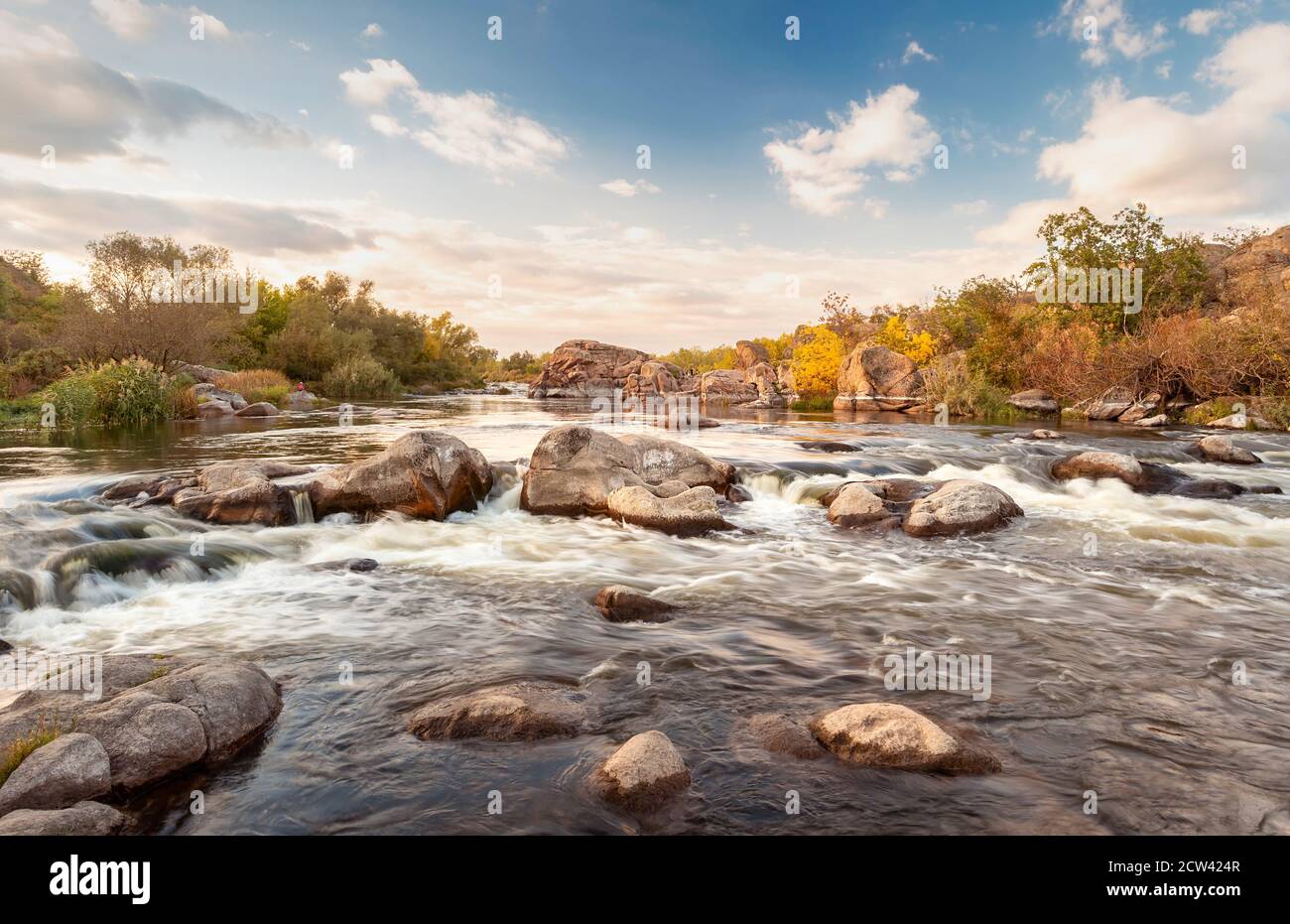 Southern bug hi-res stock photography and images - Alamy