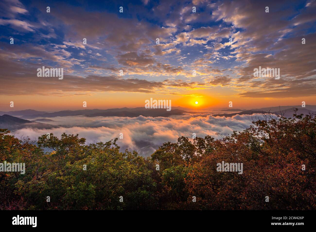 South korean rain hi-res stock photography and images - Alamy
