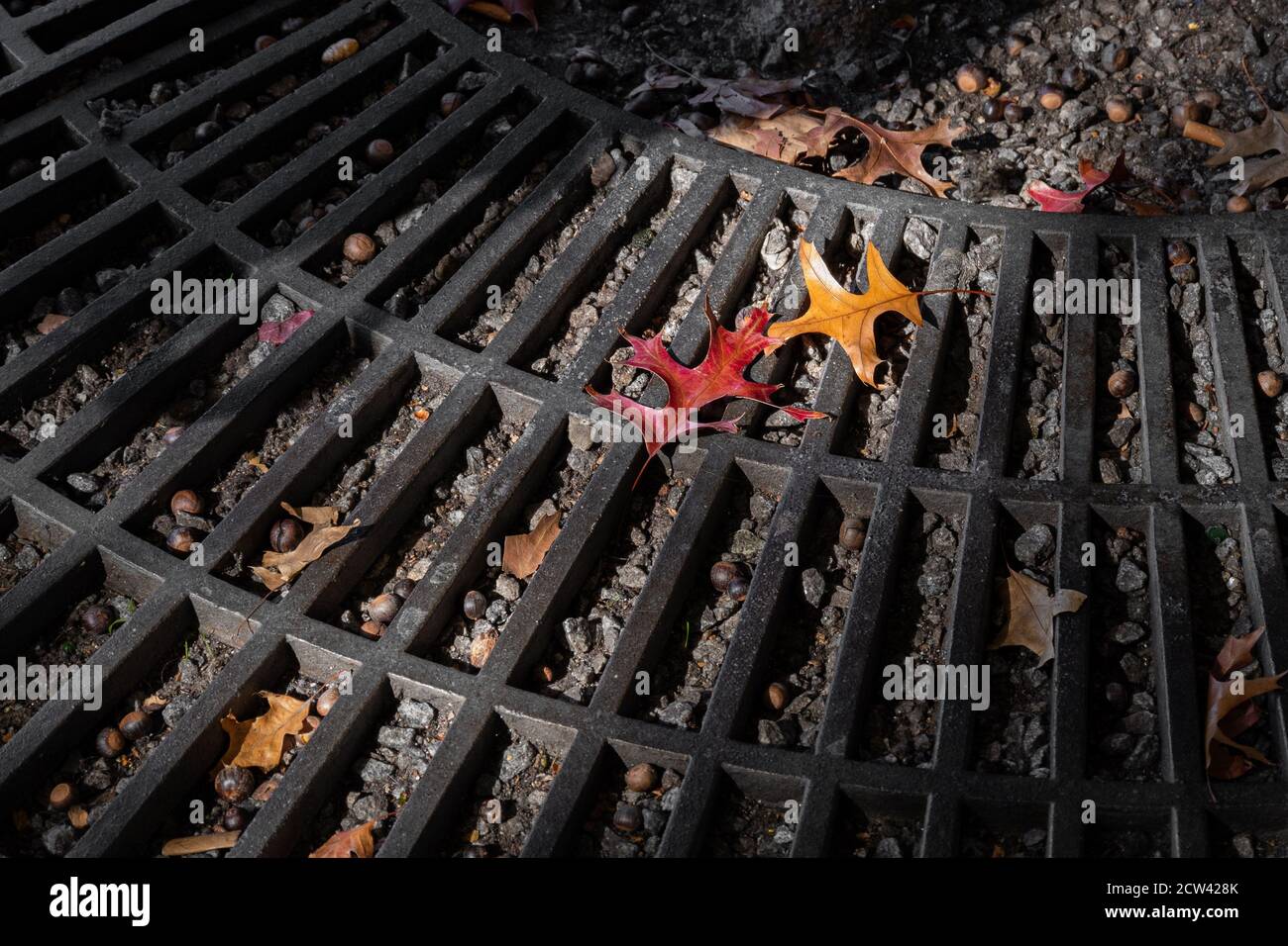 Metal lattice hi-res stock photography and images - Alamy