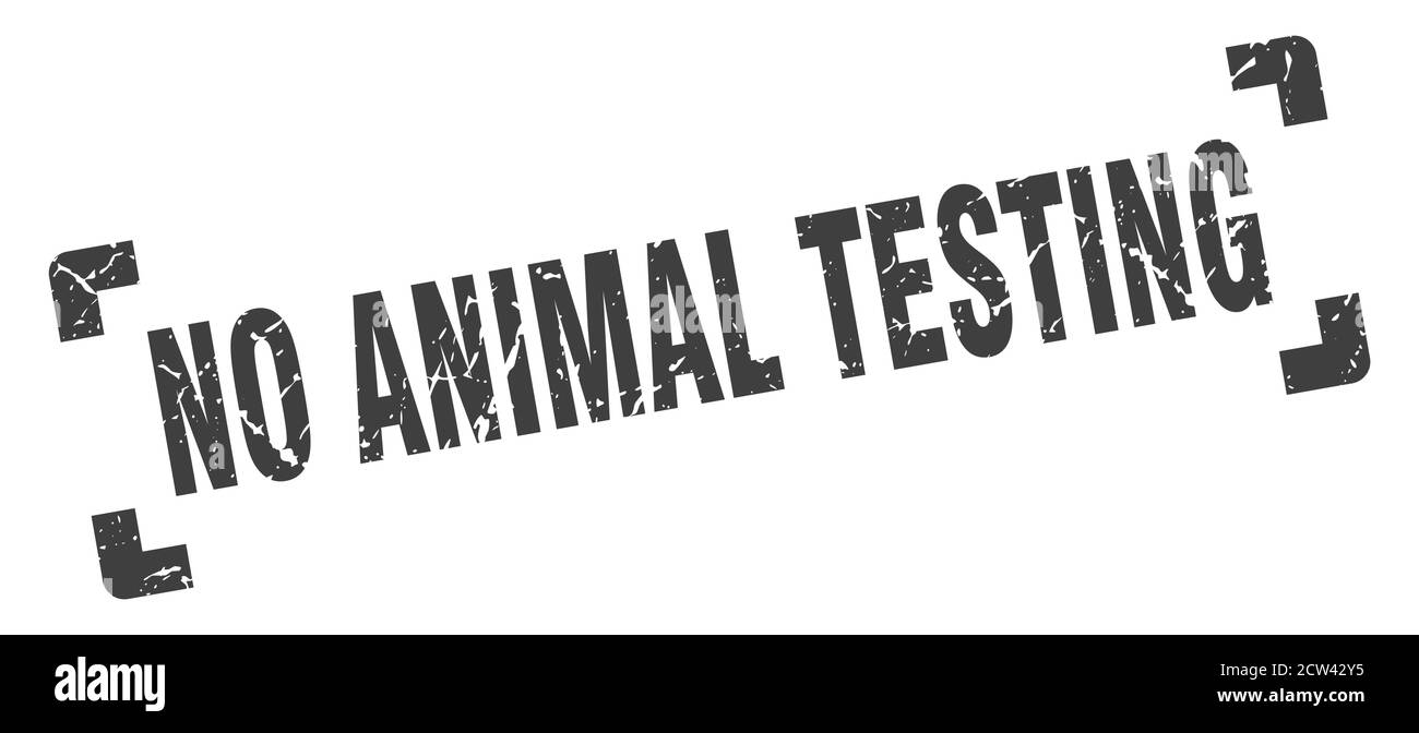 no animal testing stamp. square grunge sign on white background Stock ...