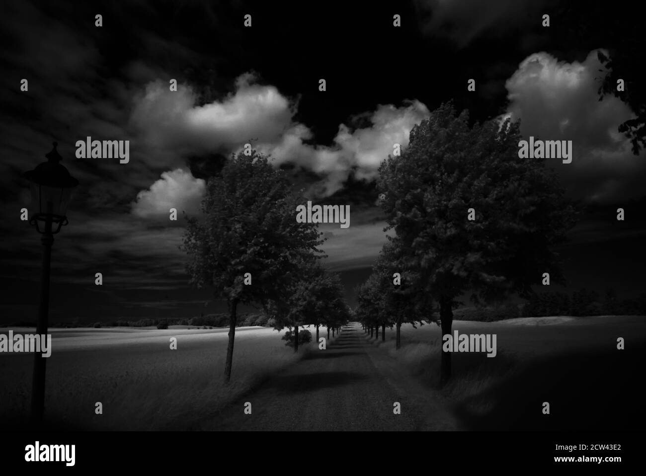 Denmark crossing Black and White Stock Photos & Images - Alamy