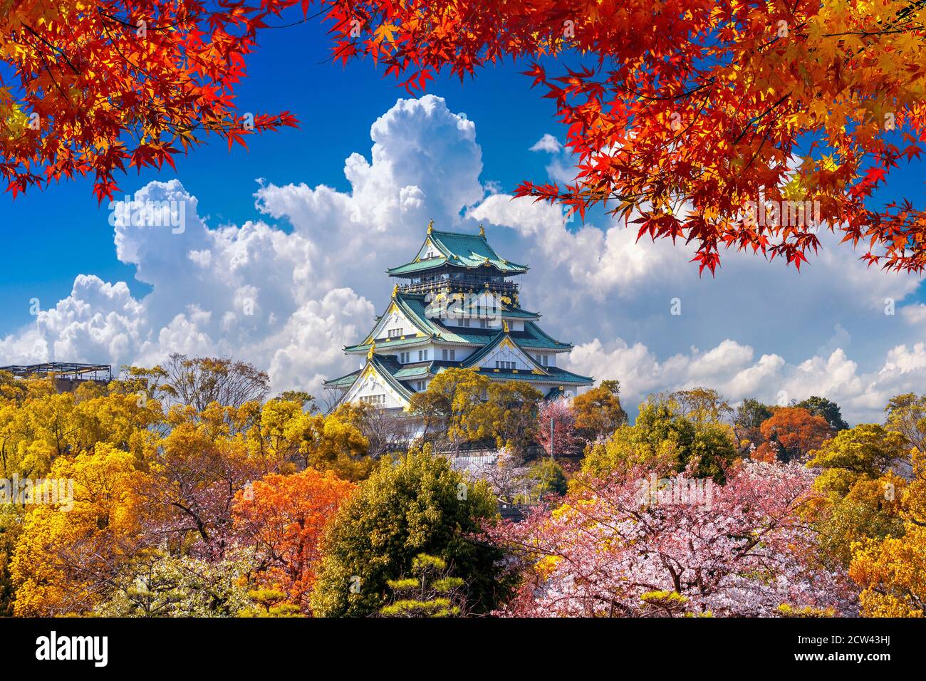 Autumn seasons and castle in Osaka, Japan Stock Photo - Alamy