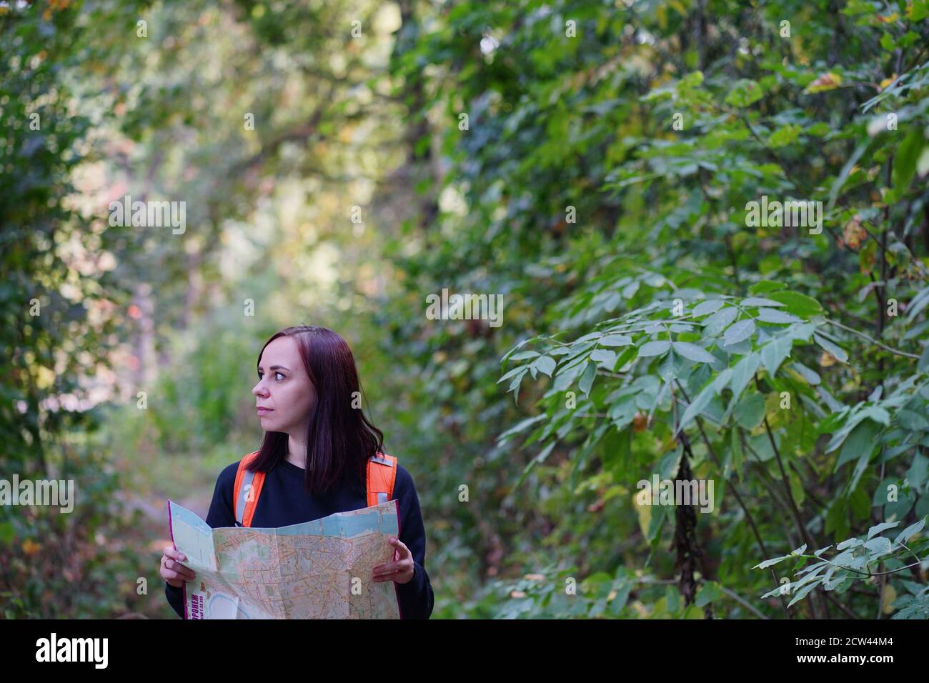 Stroll in the woods hi-res stock photography and images - Alamy