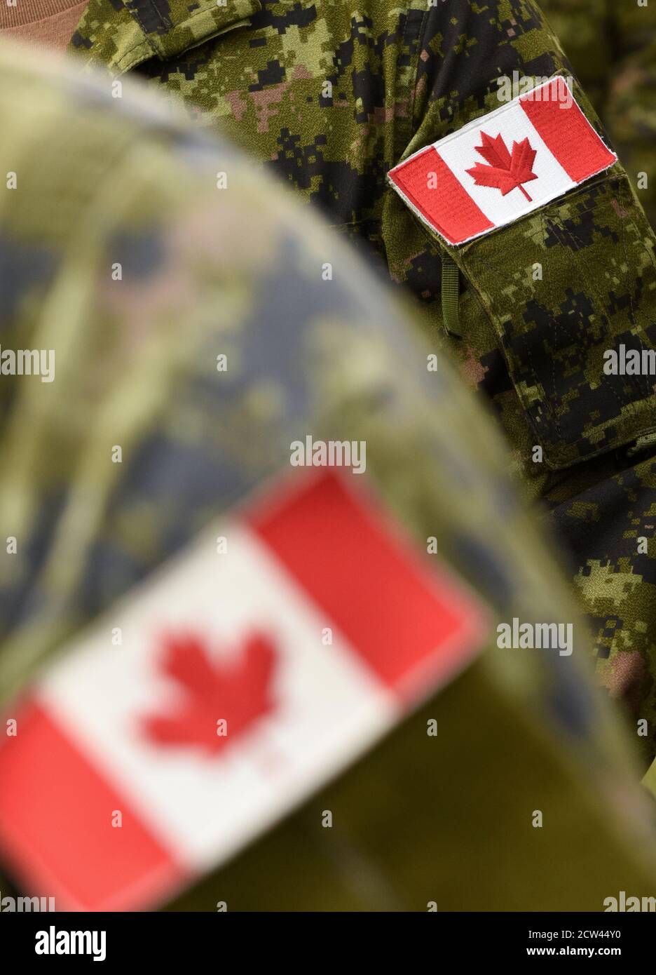 Poppy on flag hi-res stock photography and images - Alamy