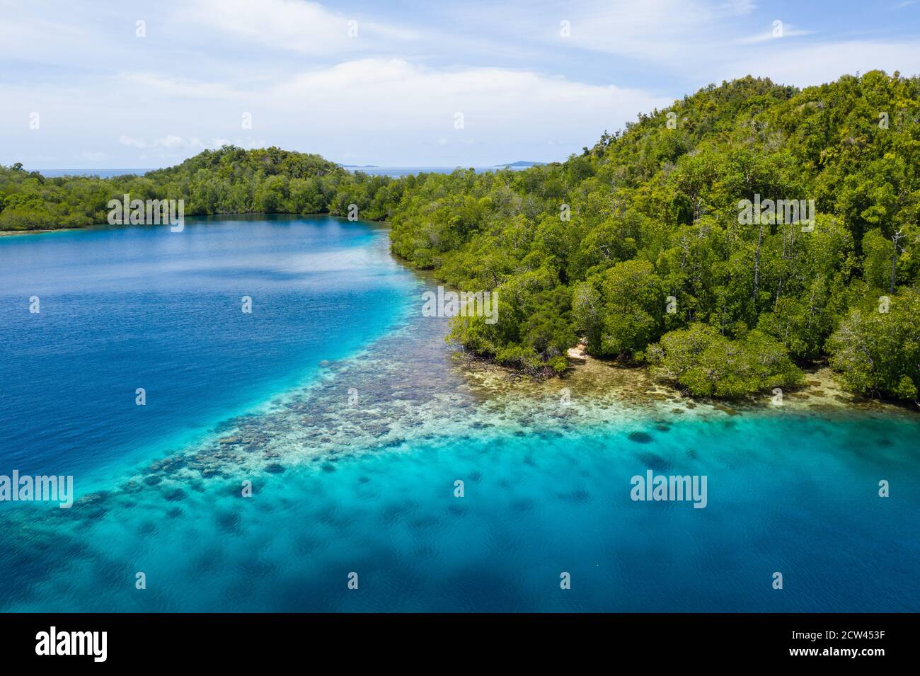 The beautiful islands of Raja Ampat support some of the most diverse ...