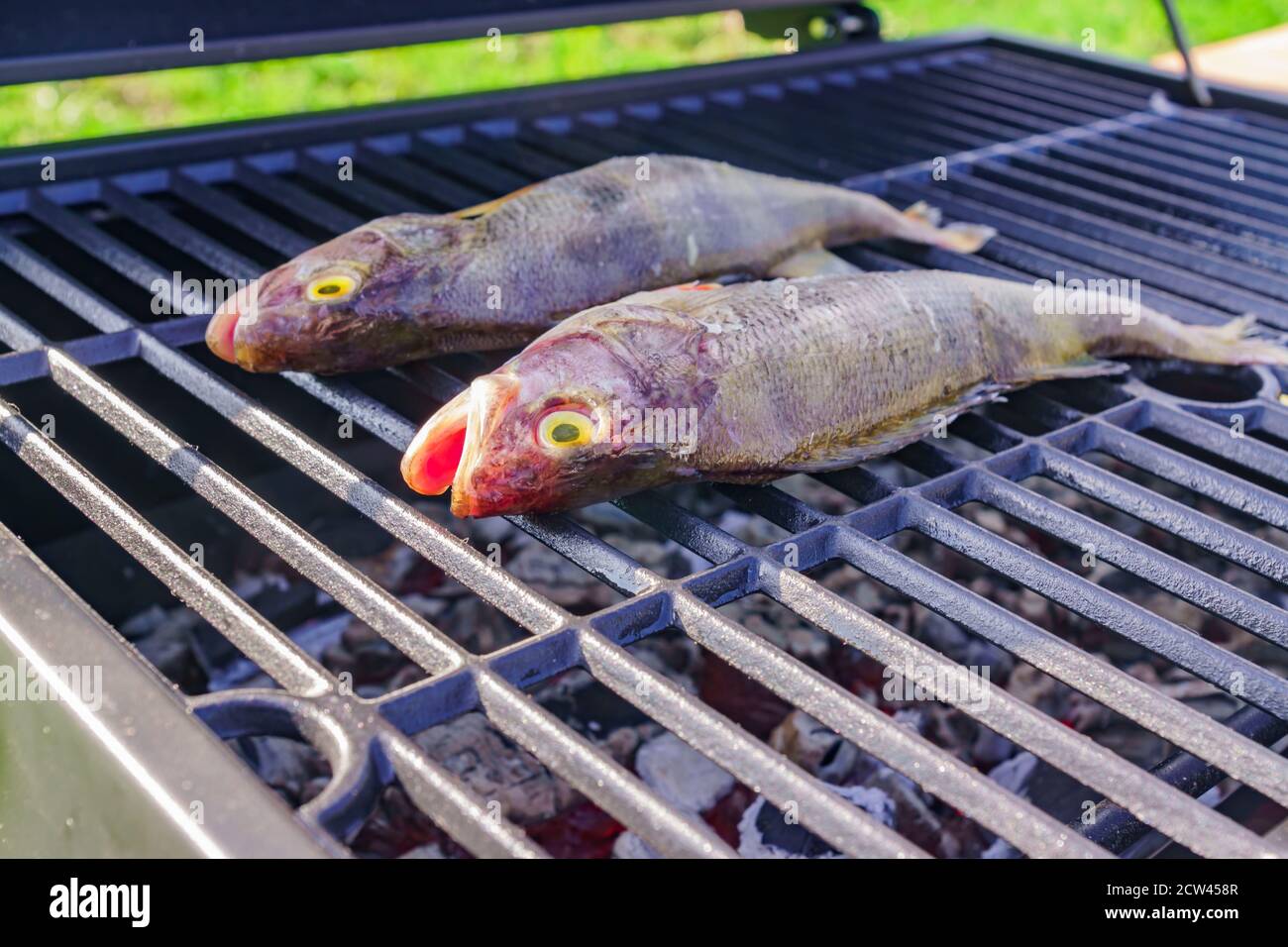 Grilled fresh fish. Cooking BBQ seafood on fire outdoors Stock Photo ...