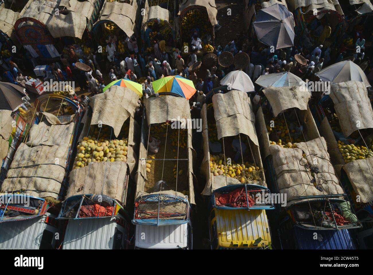 Lahore, Pakistan. 26th Sep, 2020. Pakistani farmers are busy unloading ...
