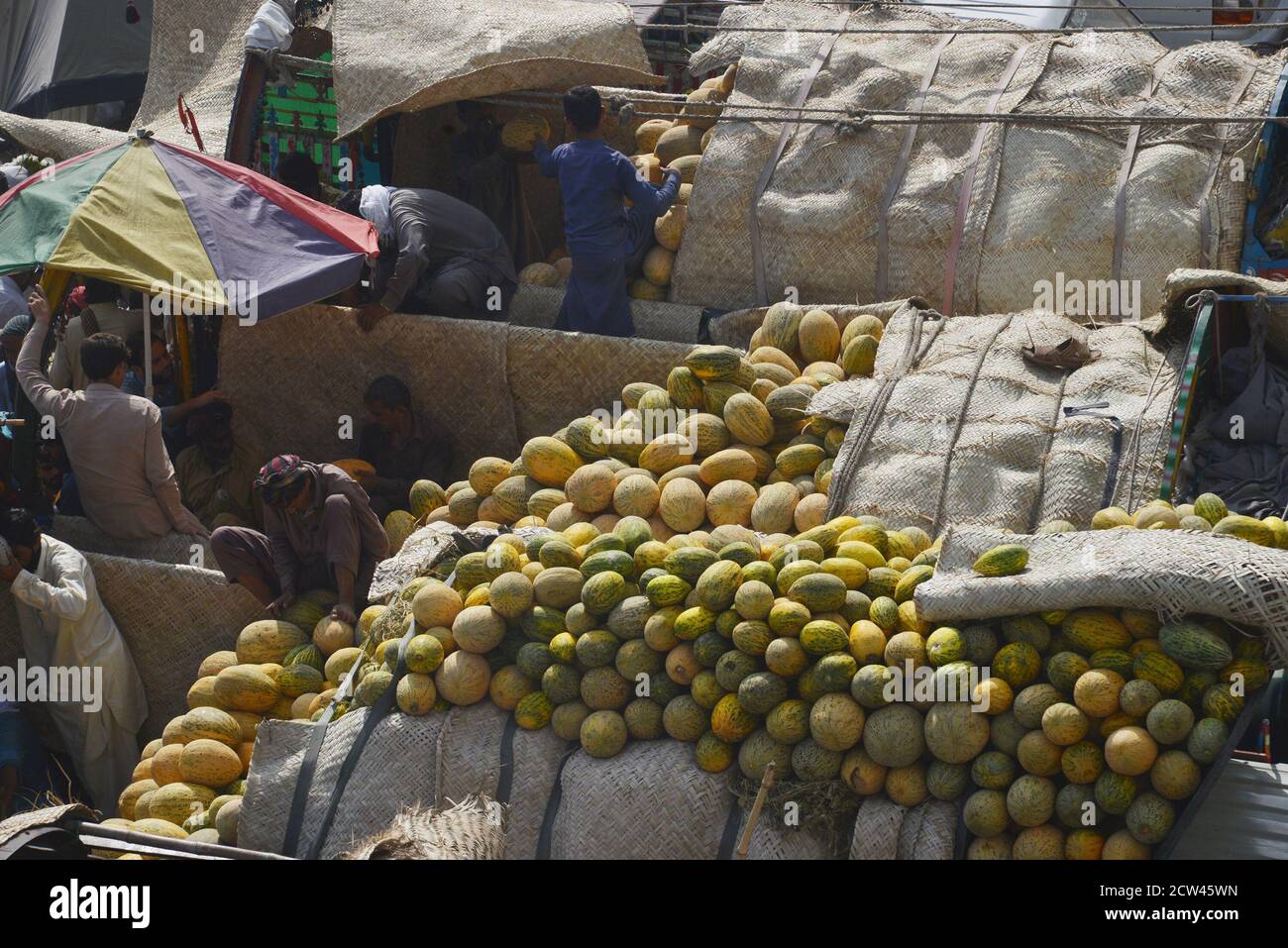 Lahore, Pakistan. 26th Sep, 2020. Pakistani farmers are busy unloading ...