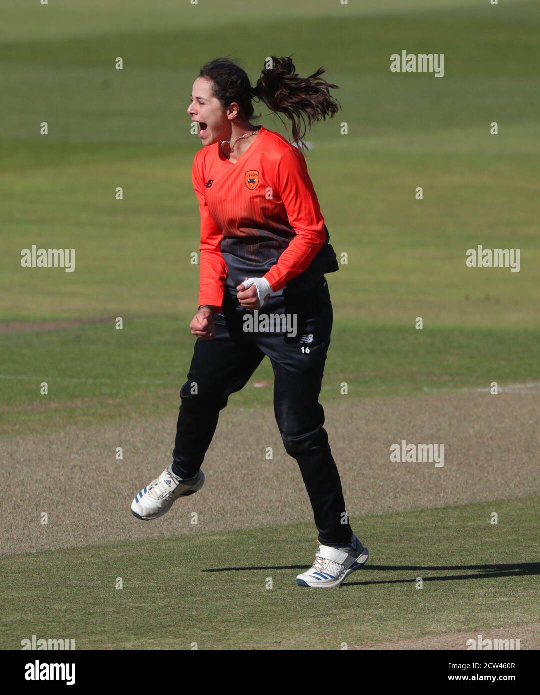 Bouchier cricket vipers hi-res stock photography and images - Alamy