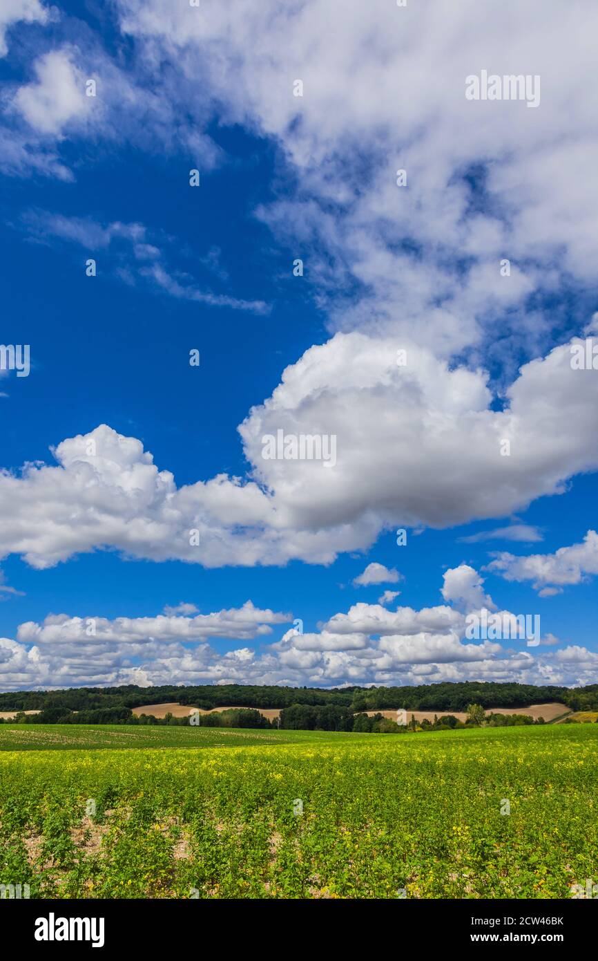 Summer Cumulus clouds and blue sky - sud-Touraine, central France Stock ...