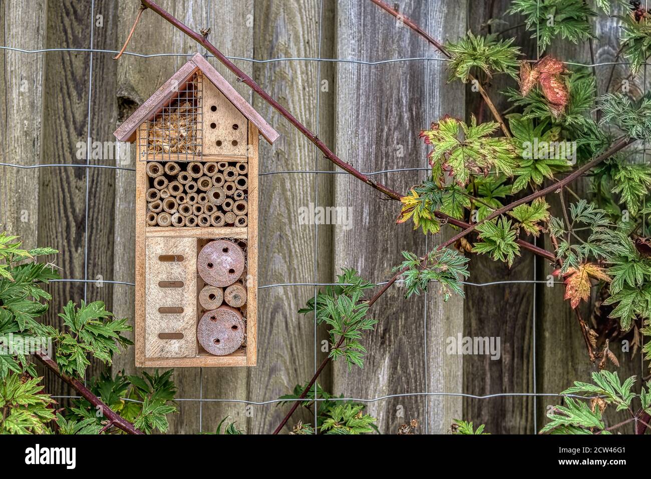 Bee hotel hi-res stock photography and images - Alamy